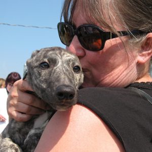 From the Archive: Robin Patterson (CAROUSEL 19) – CAROUSEL Magazine: Blog