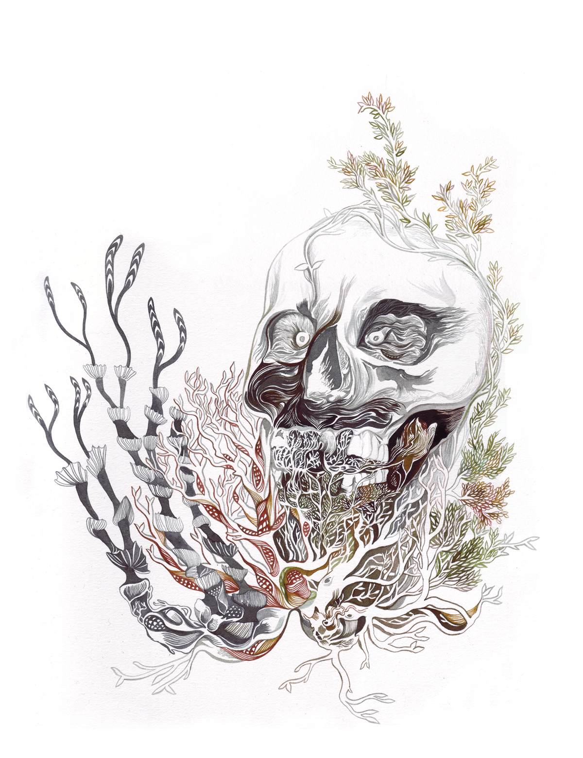 From the Archive: Amber Albrecht (CAROUSEL 28) – CAROUSEL Magazine: Blog